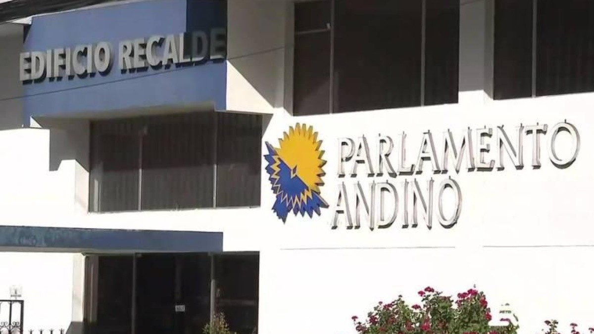 Elecciones Ecuador 2025: ADN y el correísmo se apoderan del Parlamento ...