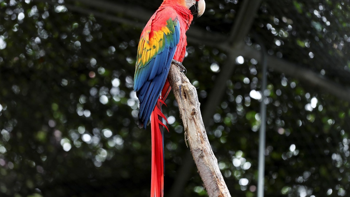 Quito transforma sus parques en aulas vivas con nuevas guías educativas ...
