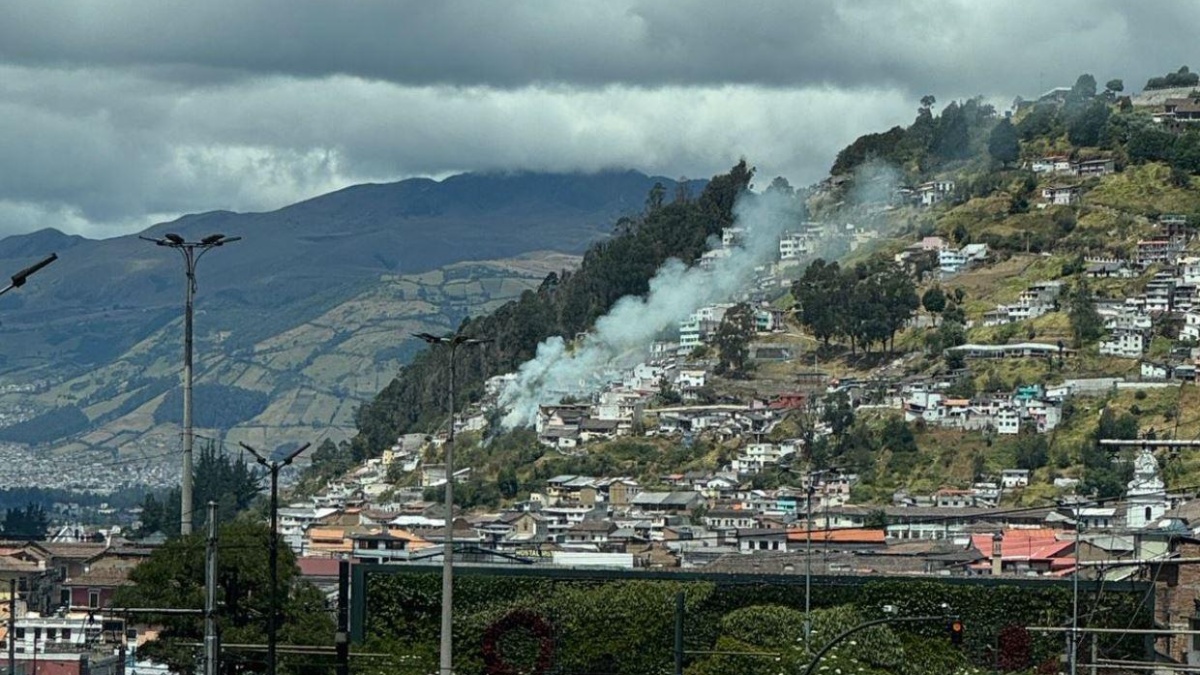 Quito | Incendio forestal levanta una columna de humo en El Panecillo ...