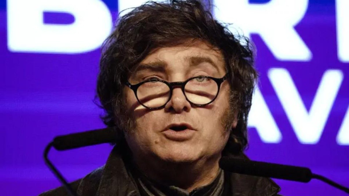 Cuatro razones que explican la peor derrota electoral de Javier Milei ...