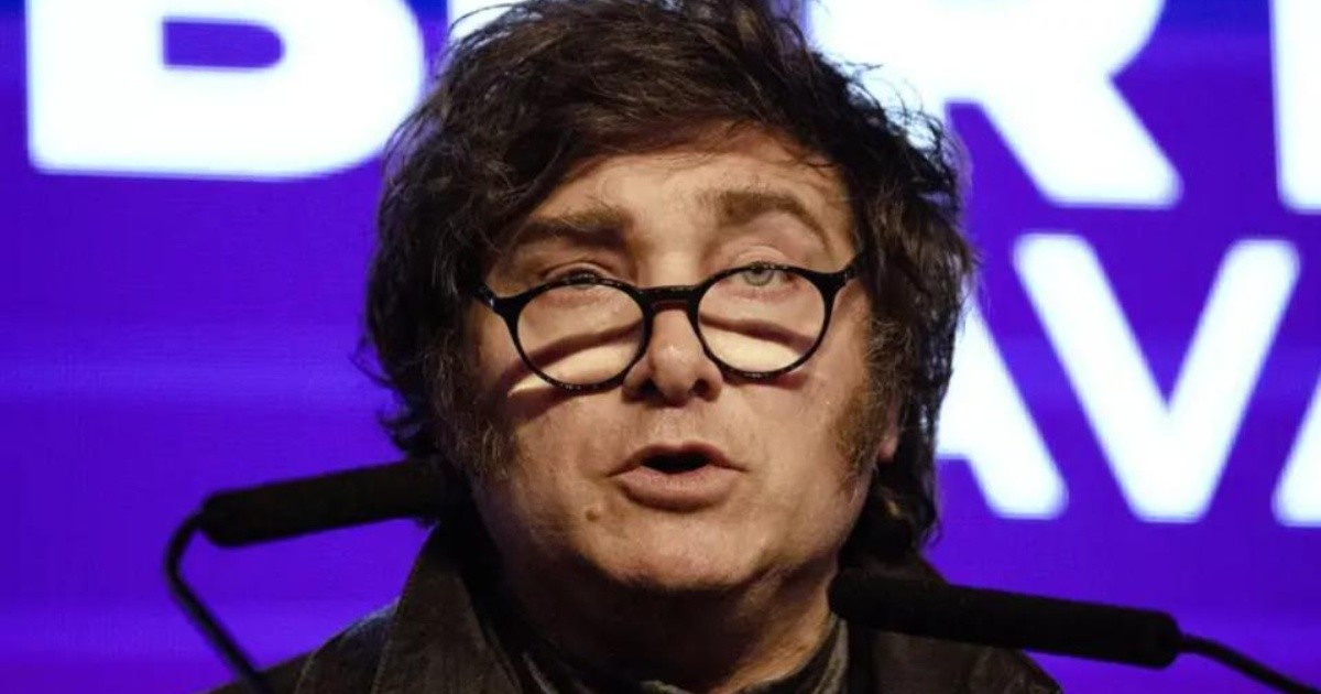 Cuatro razones que explican la peor derrota electoral de Javier Milei ...