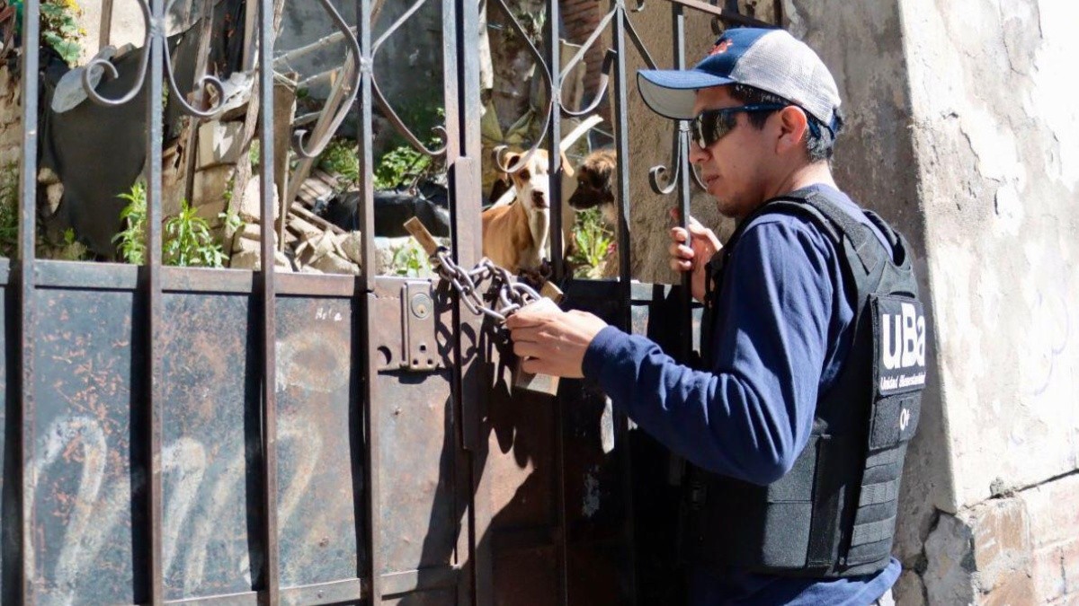 Tres perros fueron rescatados de una vivienda abandonada en el sur de ...