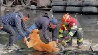 Últimas noticias de Siniestro | Ecuavisa