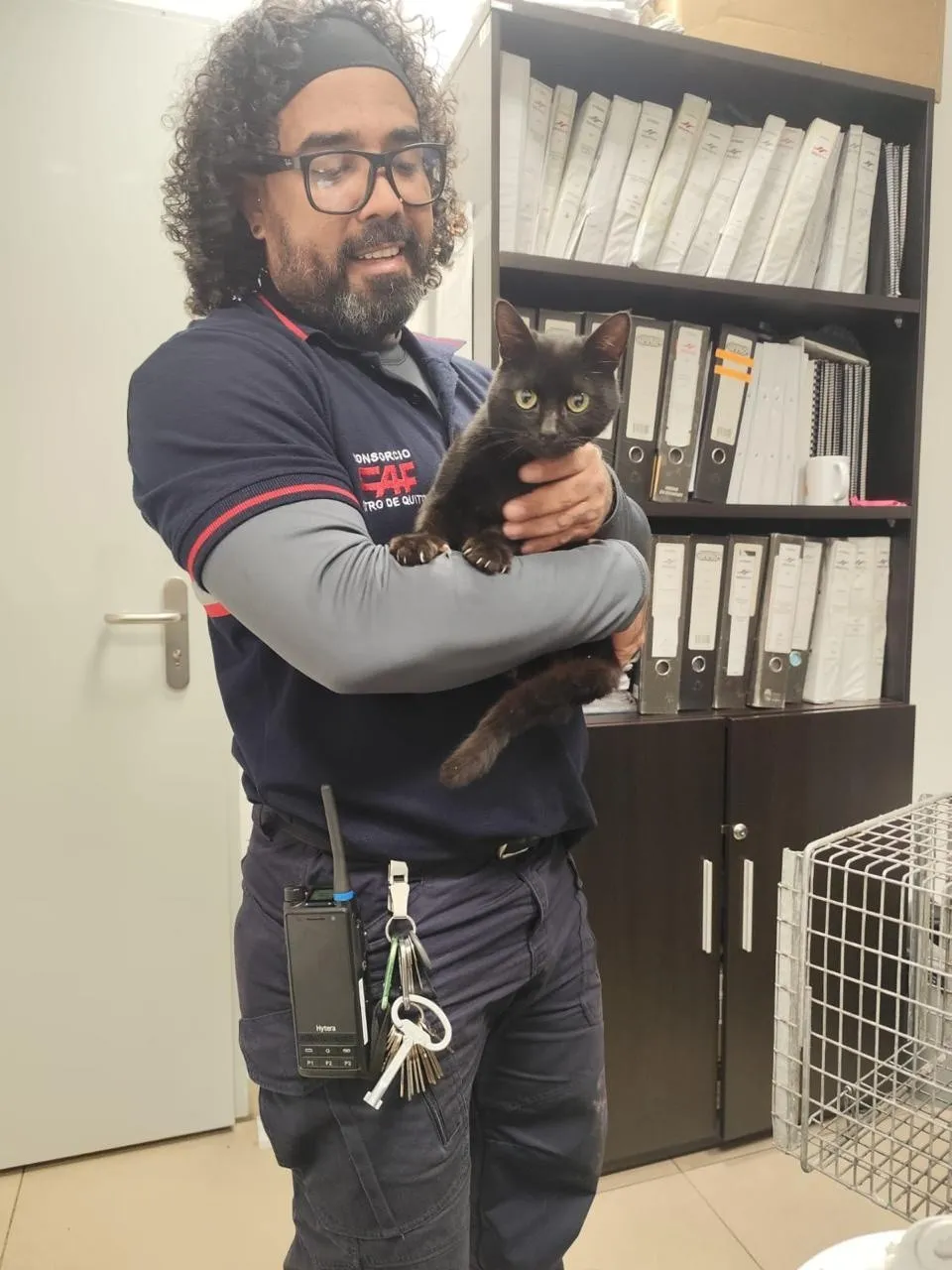 Esto es lo que se sabe del gato y el perro rescatados en las ...