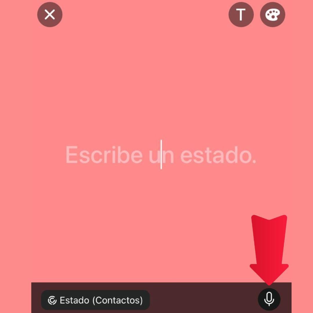 Los estados de voz de hasta 1 minuto llegan a WhatsApp | Ecuavisa
