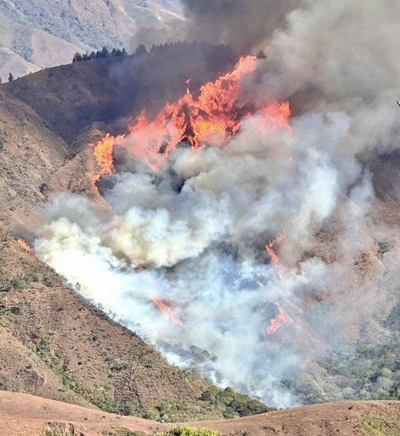 La Secretaría de Gestión de Riesgos monitorea 10 incendios forestales ...