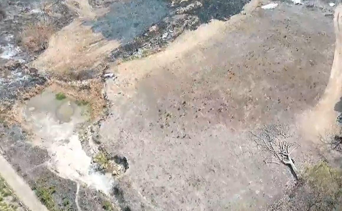 El humedal Abras de Mantequilla, en Los Ríos, sufre los estragos de la ...