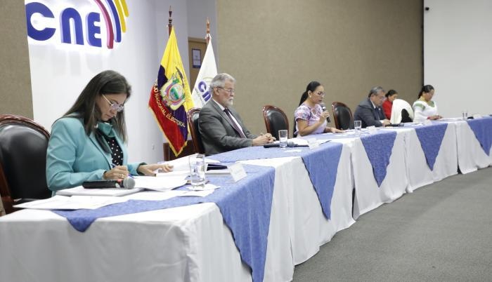 Este es el ABC de la renovación de vocales del CNE | Ecuavisa